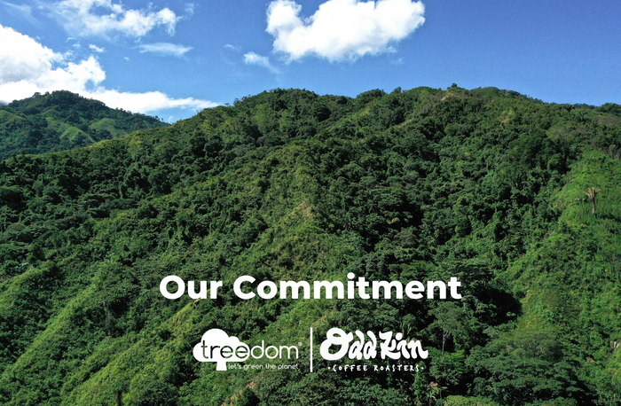We're planting trees with Treedom! | Odd Kin Coffee Roasters – OddKin ...