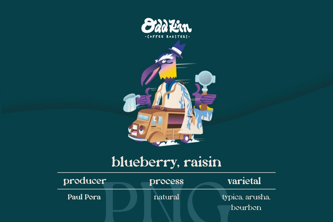 Papua New Guinea Coffee: Paul Pora | Odd Kin Coffee Roasters – OddKin ...